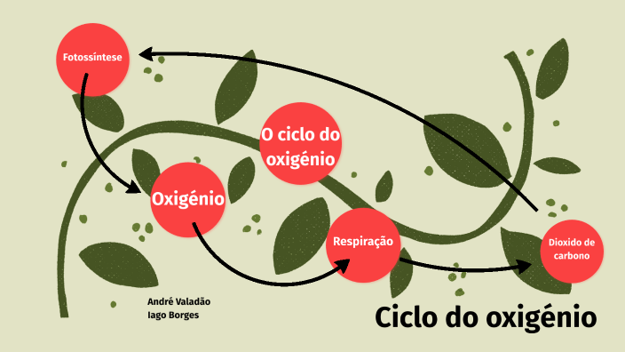 Ciclo do oxigénio by Iago Borges on Prezi