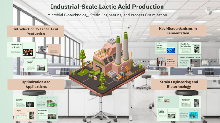 Industrial-Scale Lactic Acid Production by Erfan Aghajani on Prezi