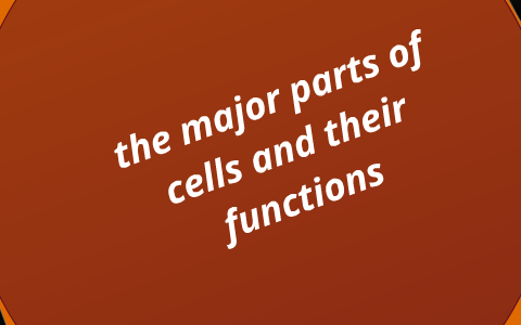 the mayor cell parts and their functions by vale holguin on Prezi