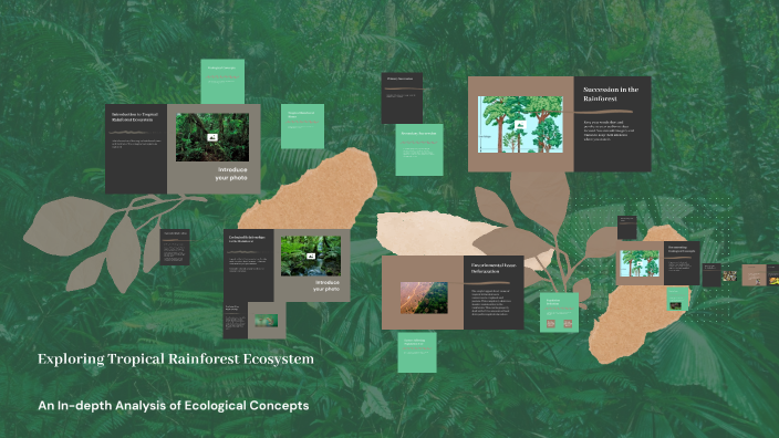 Exploring Tropical Rainforest Ecosystem by Brandon Ott on Prezi