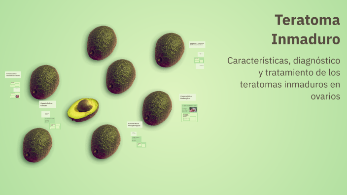 Teratoma Inmaduro by Isabel Clavijo on Prezi