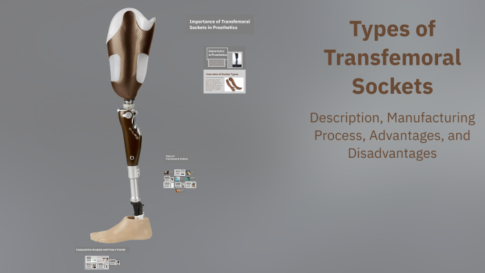 Types of Transfemoral Sockets by عادل الفاخوري on Prezi