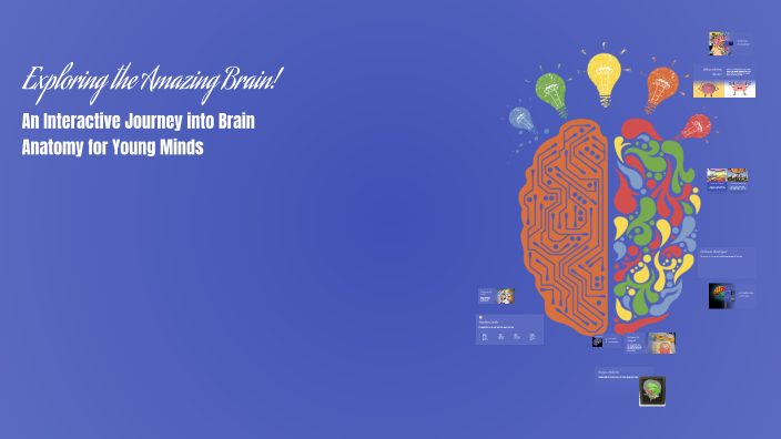 Exploring the Amazing Brain! by Sheldon Williams on Prezi