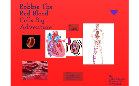 ROBBIE THE RED BLOOD CELL by sumeet bhardwaj on Prezi