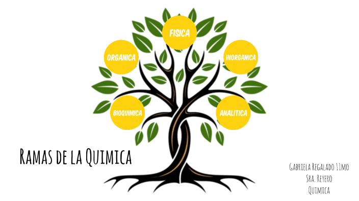 Ramas de la Química by Gabriela Regalado on Prezi