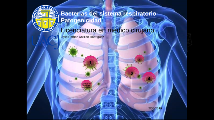 Factores de virulencia-sistema respiratorio by Jose Antillon on Prezi