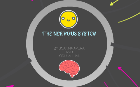 Connections Between Body Systems by Joshua Tran on Prezi