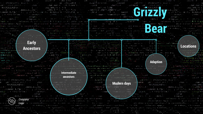 Alazai ~ Grizzly bear by Alazai Vasquez on Prezi