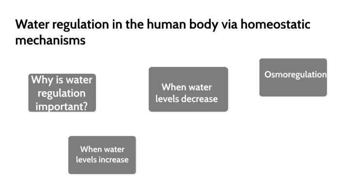 Water regulation by Annabelle Michel on Prezi