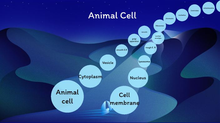 Cell organelle project by Angel Njagi _ Student - WakefieldHS