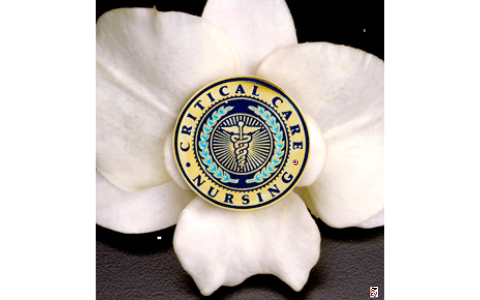 Nursing Career by Amber Minter on Prezi