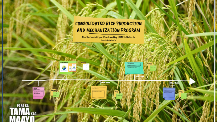 Consolidated by Kim Collado on Prezi