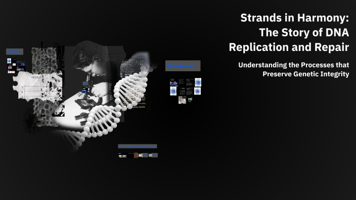 Strands in Harmony: The Story of DNA Replication and Repair by ...