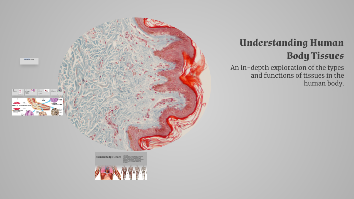 Understanding Human Body Tissues by Patrick hendley on Prezi