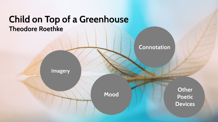 Child on Top of a Greenhouse by Renee Kanaskie on Prezi