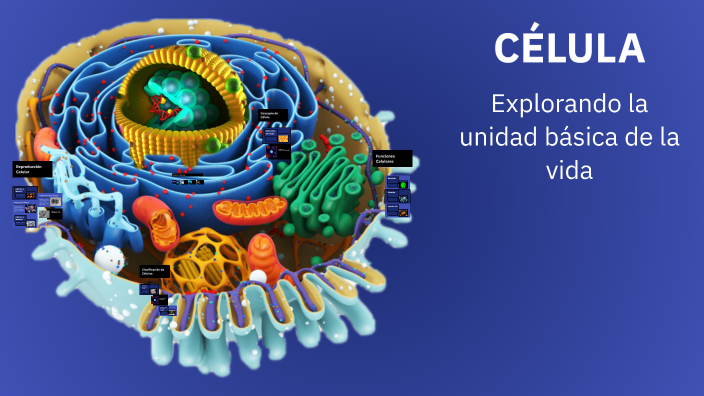 CÉLULA by Erica Jara on Prezi