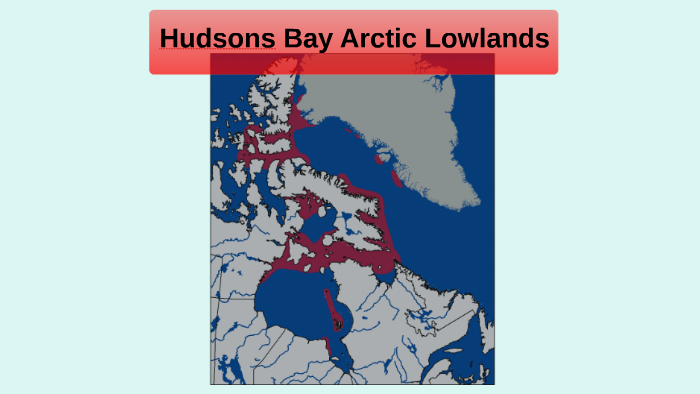 Hudsons Bay Arctic Lowlands by Neha Robbani on Prezi
