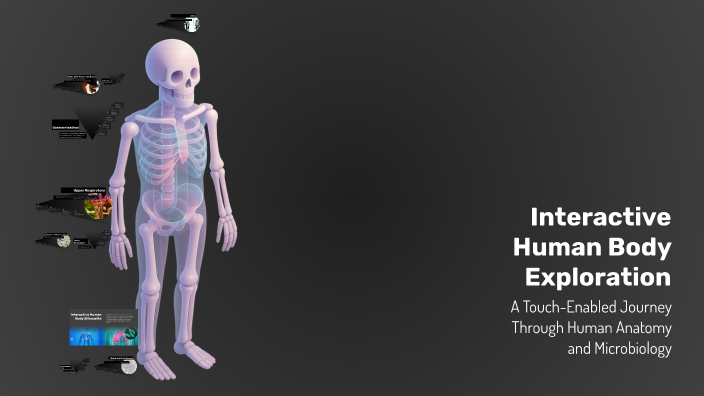 Interactive Human Body Exploration by Jamie Frank on Prezi