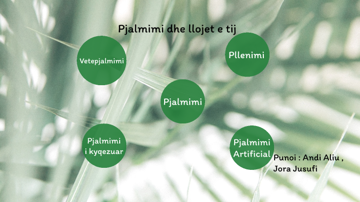 Pjalmimi dhe llojet e tij by Edion Meha on Prezi