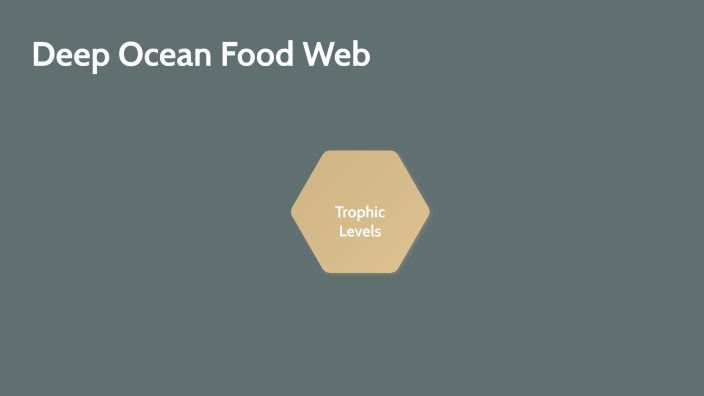 Deep Sea Food Web by Pyeper Walker on Prezi