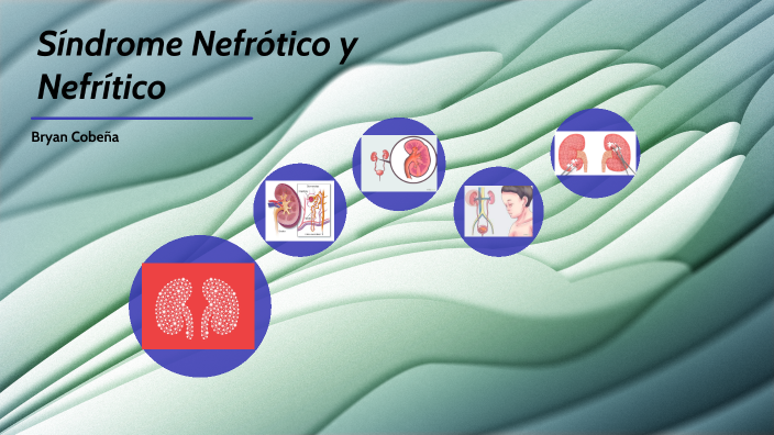 SINDROME NEFRITICO Y NEFROTICO by Bryan Cobeña on Prezi