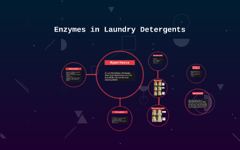Enzymes in Laundry Detergents by Chelsea Laverdiere on Prezi