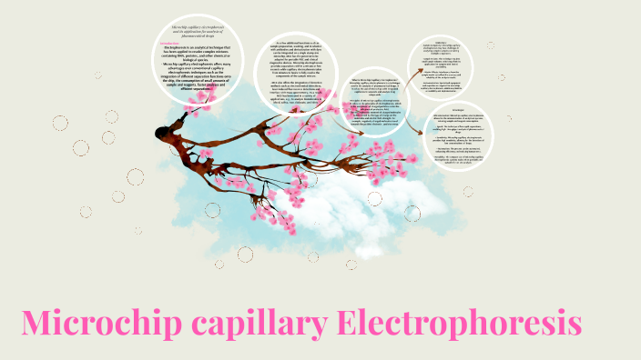 Microchip capillary Electrophoresis by أسامة on Prezi