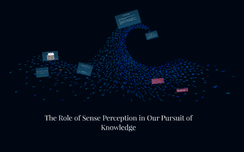 The Role of Sense Perception in Our Pursuit of Knowledge by nelli v on ...
