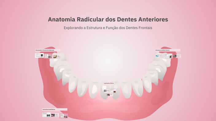 Anatomia Radicular dos Dentes Anteriores by bruna pimentel on Prezi