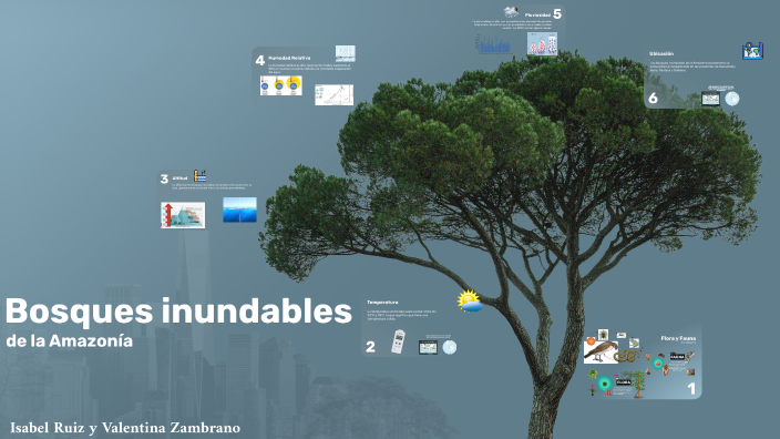 Bosques Inundables - Ruiz y Zambrano by Isa Ruiz on Prezi