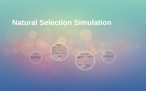 Natural Selection Simulation by ivanna cantisani on Prezi