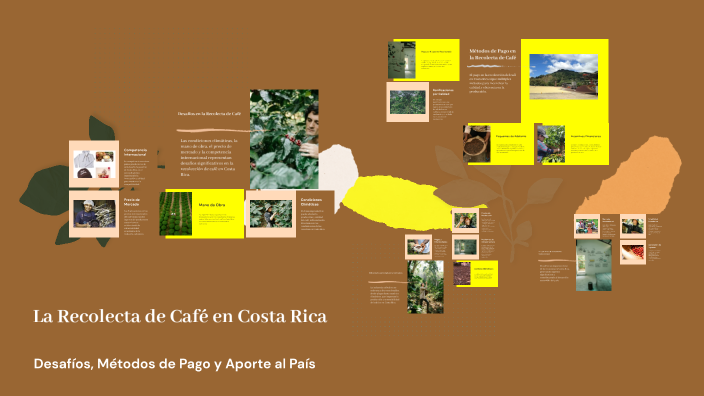 La Recolecta de Café en Costa Rica by Marcos Quesada on Prezi