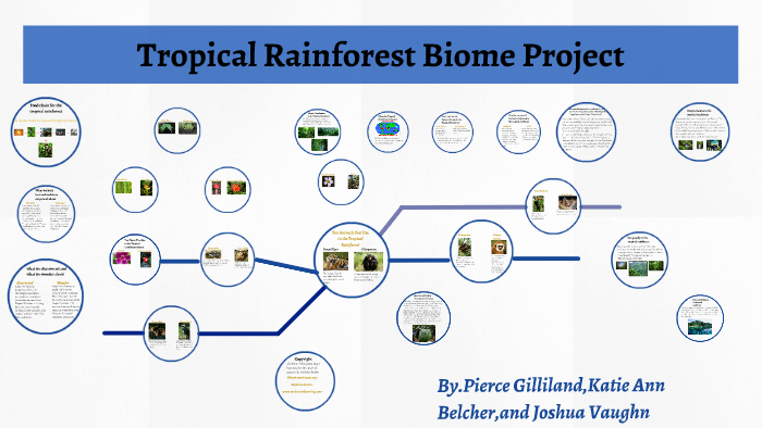 Tropical Rainforest Biome Project by pierce gilliland on Prezi