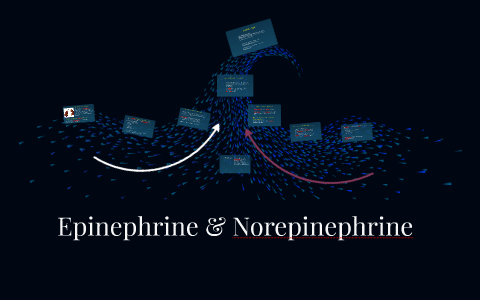 Epinephrine & Norepinephrine by Kayla Terrazas on Prezi