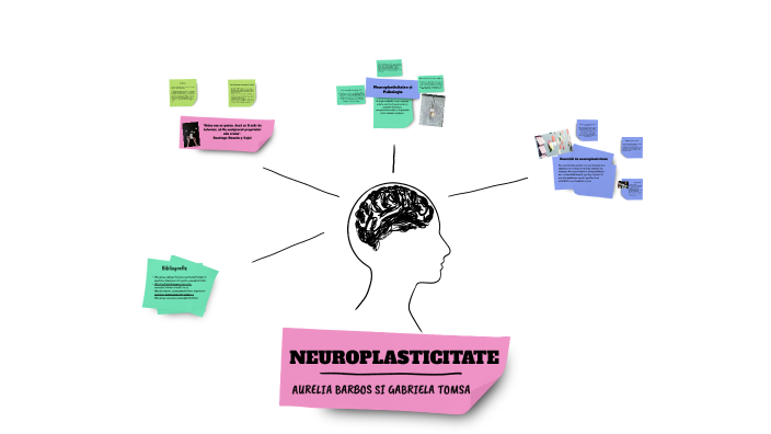 NEUROPLASTICITATE by Gabriela Tomsa on Prezi