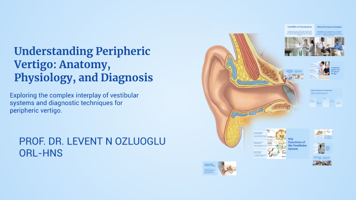 Understanding Peripheric Vertigo: Anatomy, Physiology, and Diagnosis by ...