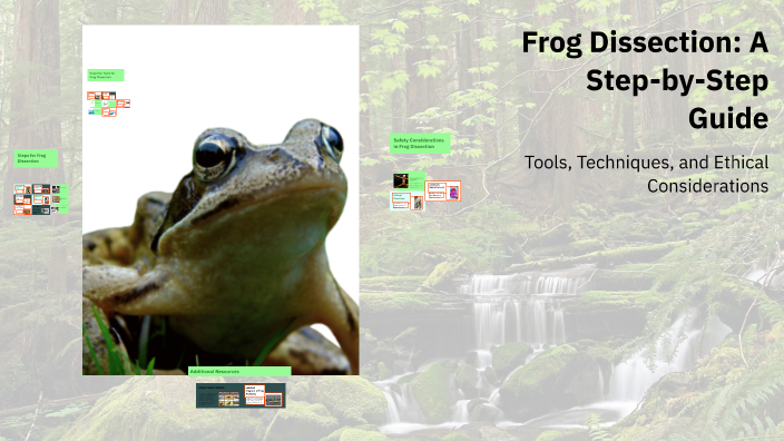 Frog Dissection: A Step-by-Step Guide by ken laudiana on Prezi