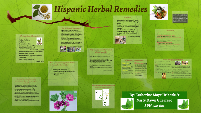 Hispanic Herbal Remedies by RN2BSN GroupProject on Prezi Hispanic Herbal Remedies by RN2BSN GroupProject on Prezi