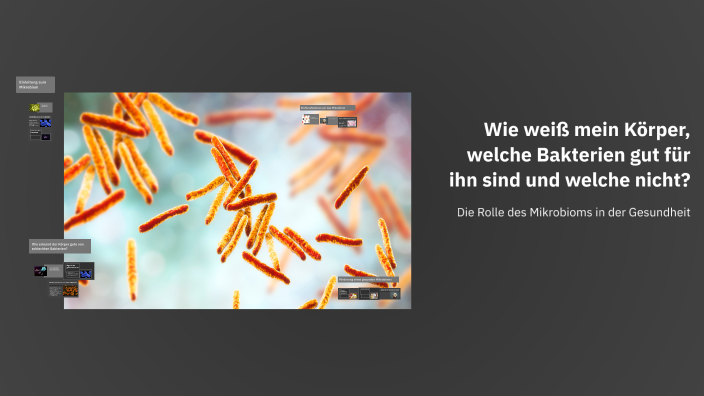 Wie weiß mein Körper, welche Bakterien gut für ihn sind und welche ...