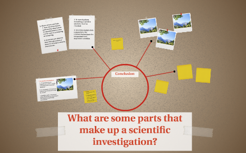 What are some parts that make up a scientific investigation? by Emily ...