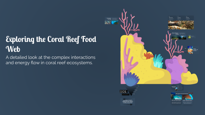 Exploring the Coral Reef Food Web by Ashley Barber on Prezi