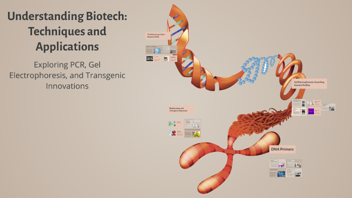 The Polymerase Chain Reaction and Its Applications by paul he on Prezi