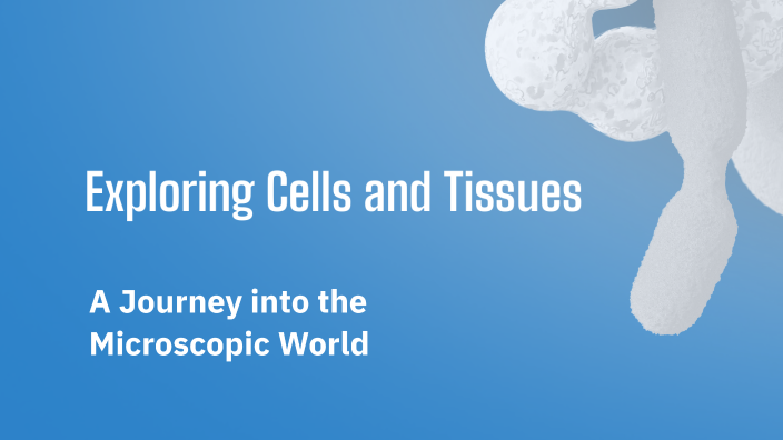 Exploring Cells and Tissues by Ibtisam Juma on Prezi