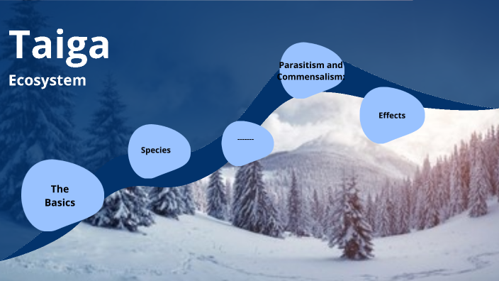 Taiga Ecosystem Project/Science Class by Eduardo Barajas on Prezi