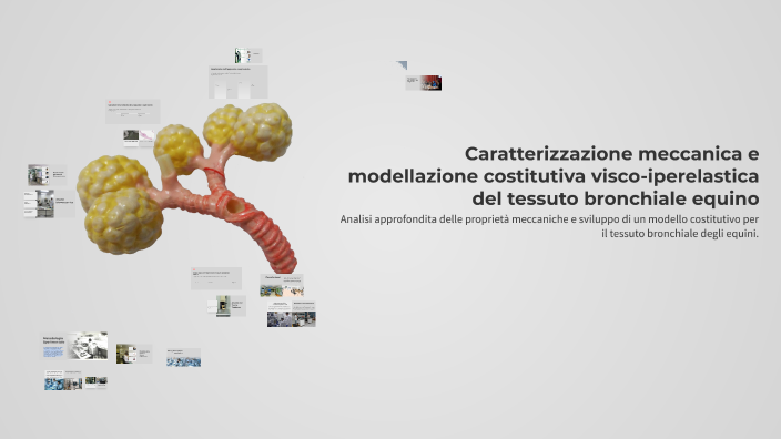 Caratterizzazione meccanica e modellazione costitutiva visco ...