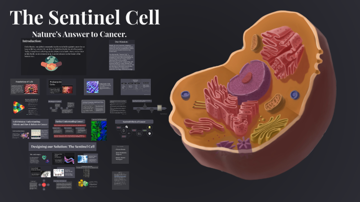 The Sentinel Cell by Tristan Brown on Prezi