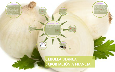 CEBOLLA by ANEL TELLEZ ALVARADO on Prezi