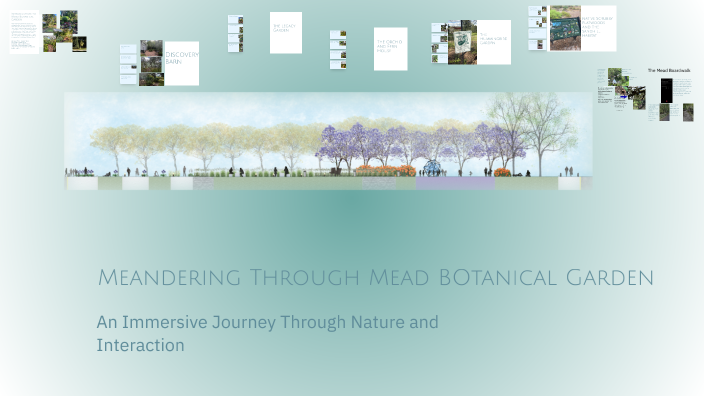 Meandering Through Mead Park by Zion Jean-Marie on Prezi