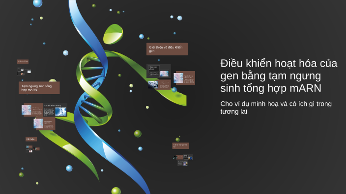 Điều khiển hoạt hóa của gen bằng tạm ngưng sinh tổng hợp mARN by Vua ...