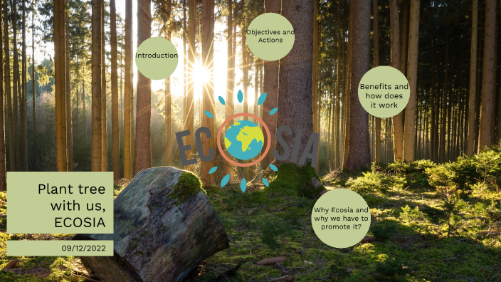Ecosia by Tonio on Prezi
